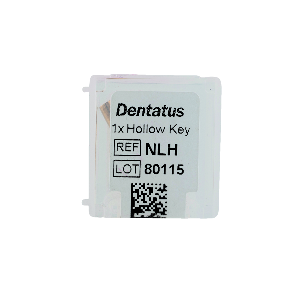 Dentatus Dentatus Key Hollow 230711 - Henry Schein - UK