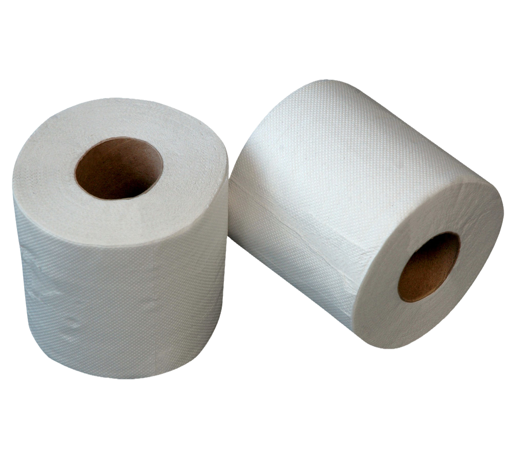 Freshline Pristine Toilet Tissue Rolls 2-ply White 36pk 500408 - Henry ...
