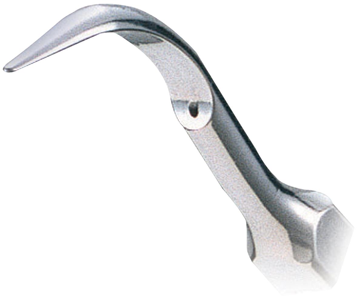 Varios Scaling Tip - G1