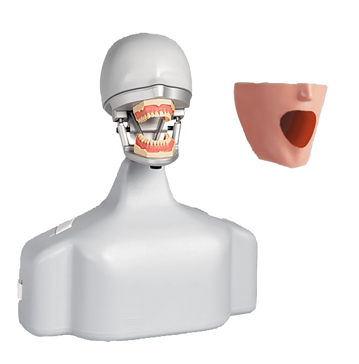 Frasaco Dental Exercise Unit Complete with Phantom Head P- 1155744 ...