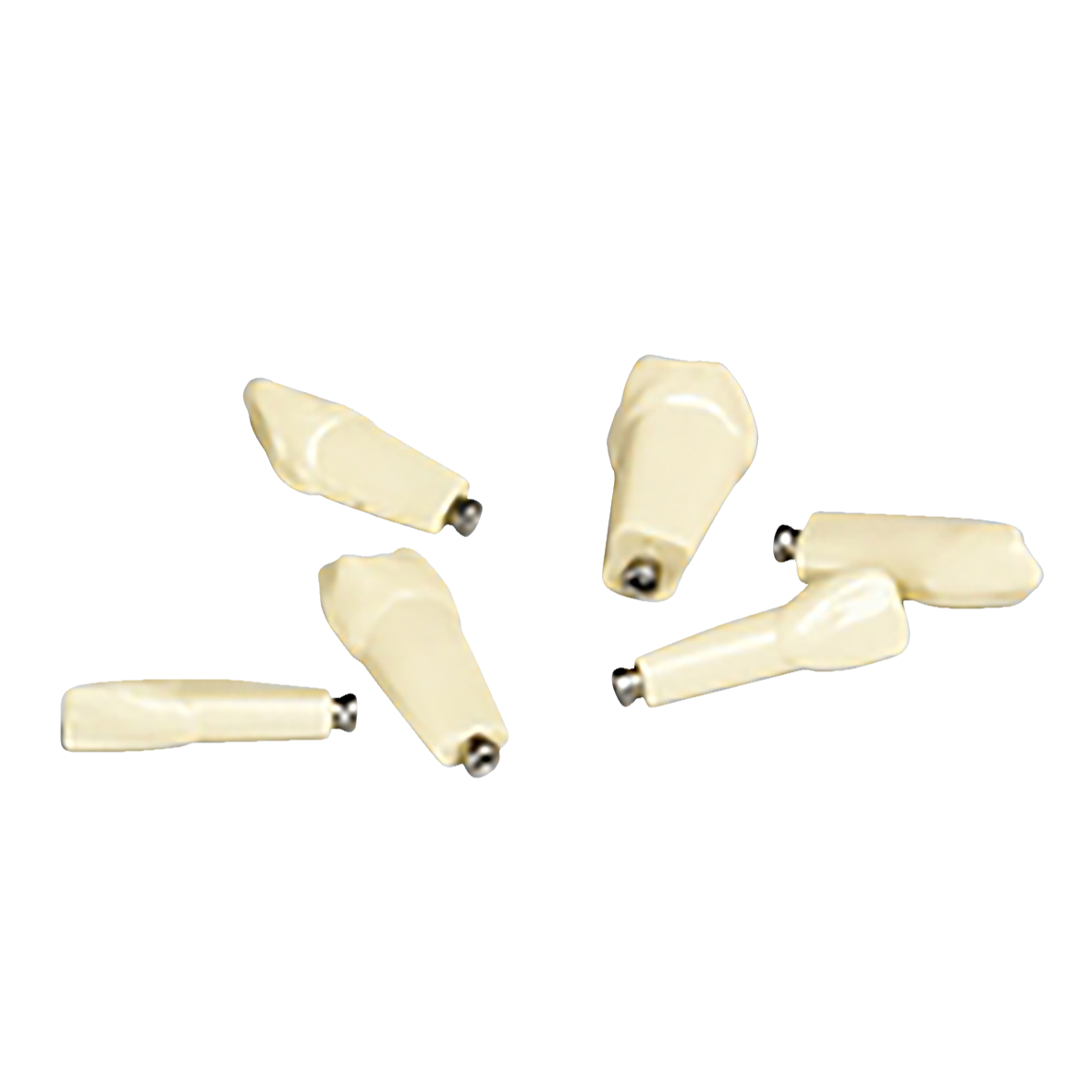 Frasaco Individual Deciduous Model Tooth No.83 1155794 - Henry Schein - UK