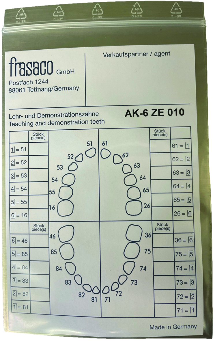 Frasaco Paedodontal Model Teeth AK-6 ZE No 16 10pk 1208491 - Henry ...