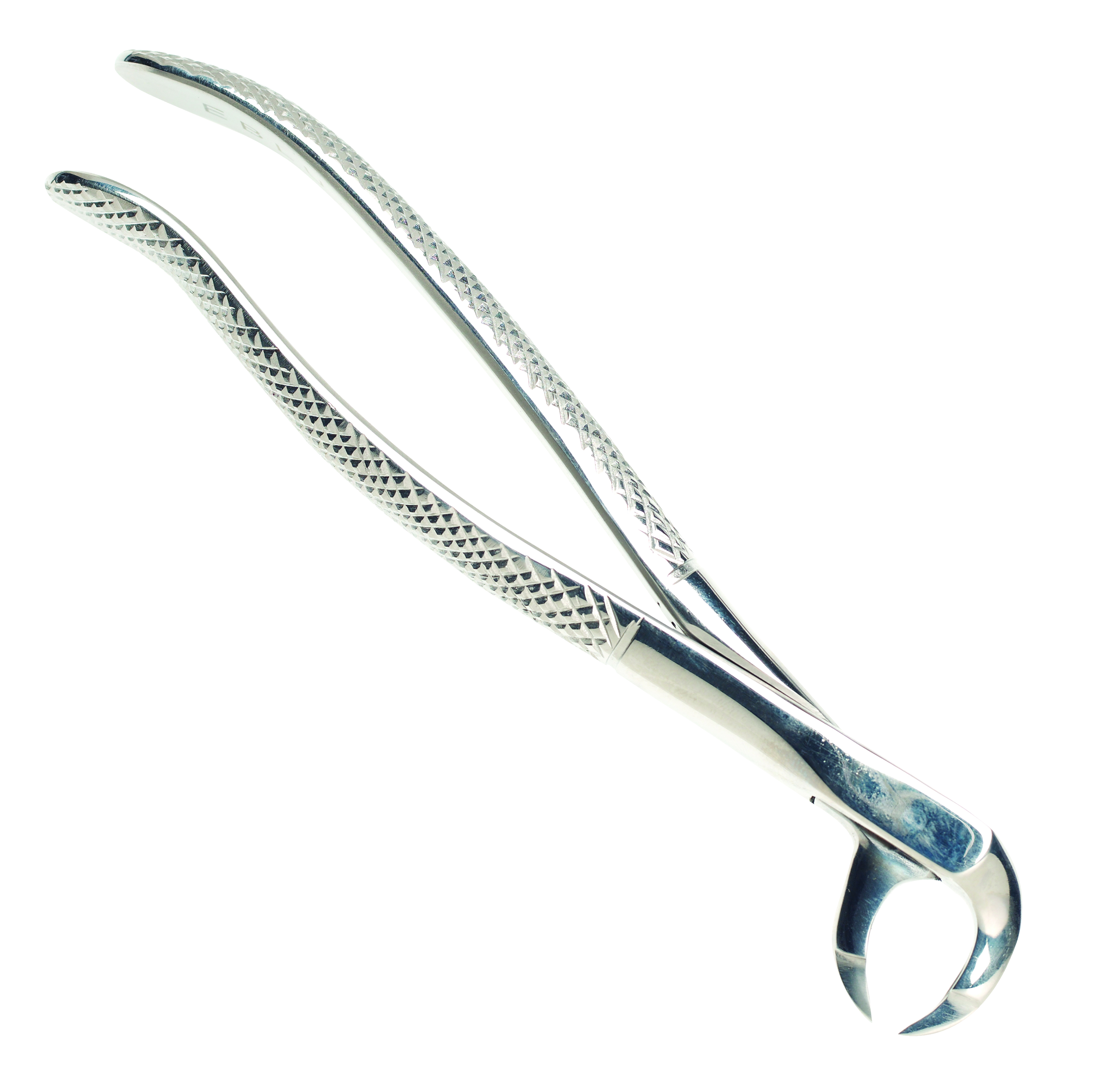 Nova Instruments Mident Ltd Eagle Beak Forceps Lower Universal 1210774 ...
