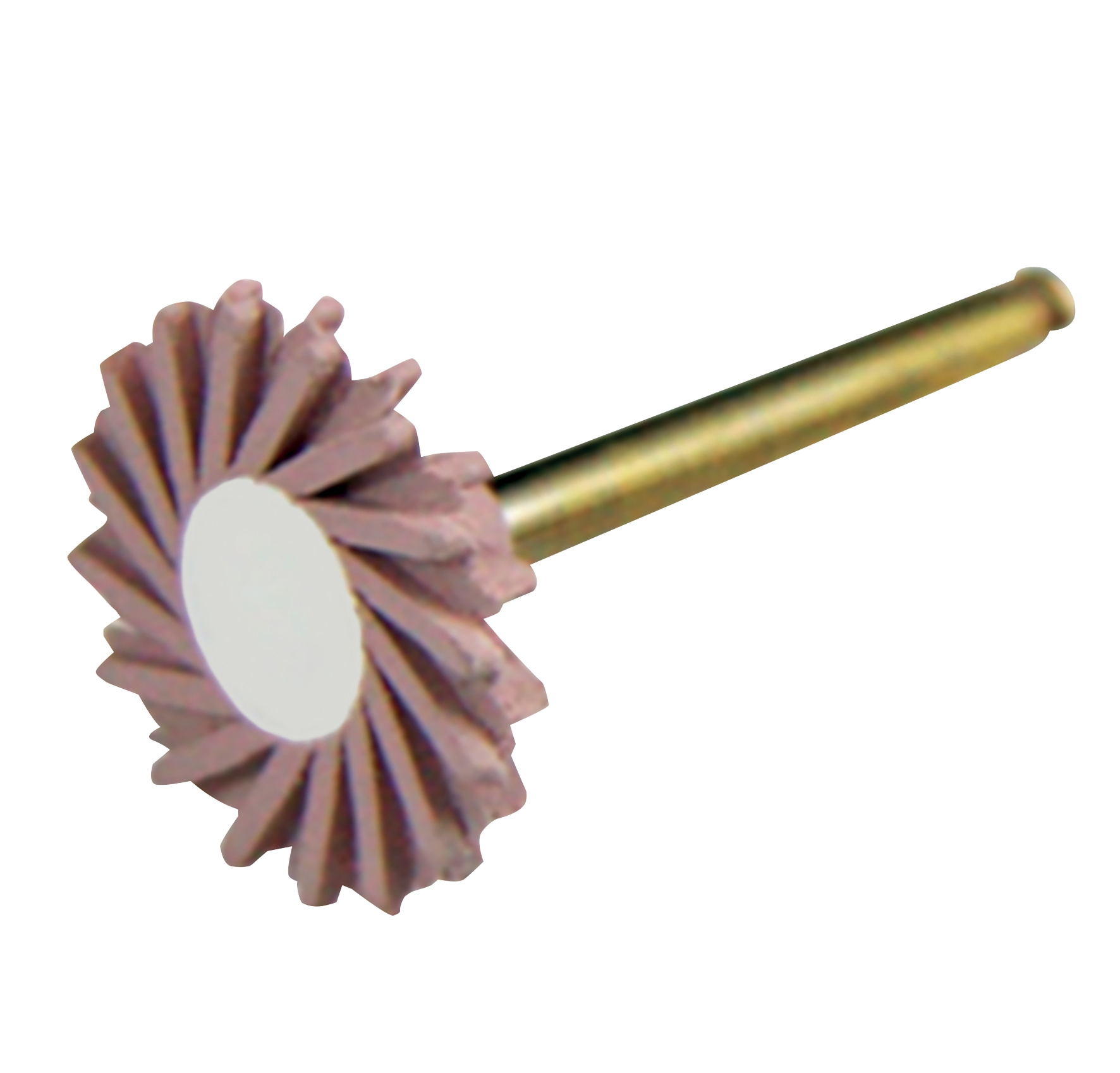 Clinicians Choice ASAP Indirect+ Final Polisher IntraOral Refill 3pk ...