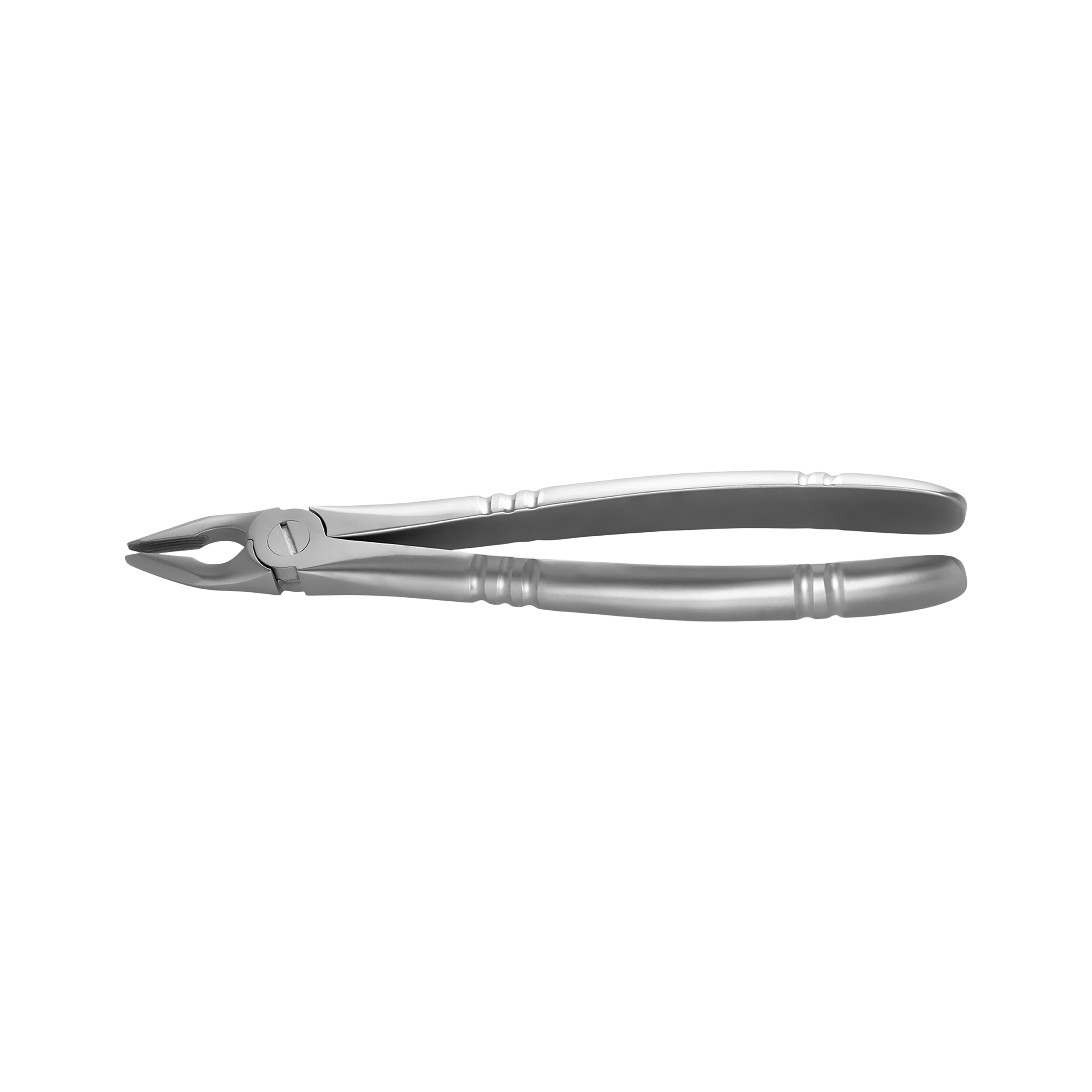 American Eagle Deep Grip Extract Forceps Upper Incisor Ergo 1216075 ...